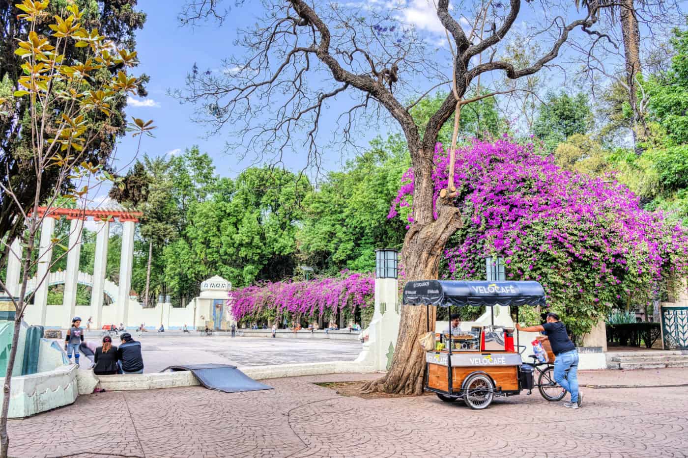 How to Spend Three Days in Mexico City: An Itinerary for First-Time ...
